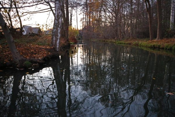 Spreewald Sehenswürdigkeiten: So schön ist dieses Ausflugsziel im Winter
