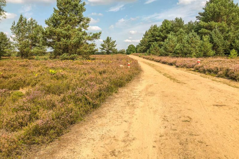 Die Kyritz Ruppiner Heide: Naturidylle in Brandenburg